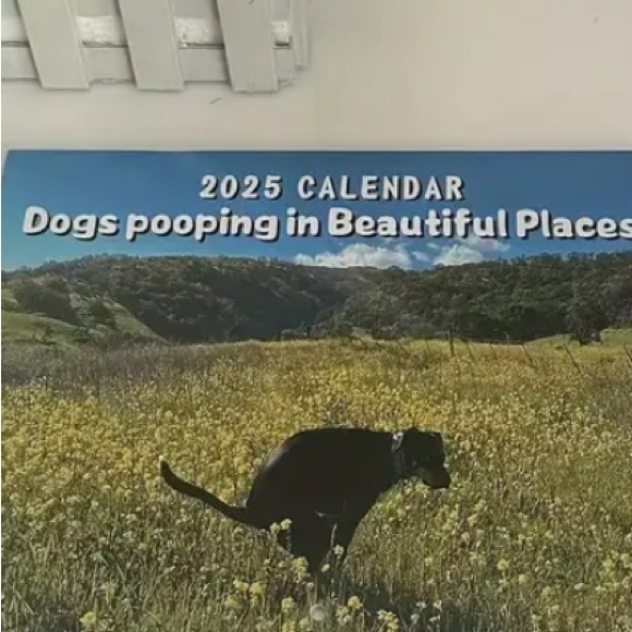 None | Art | 225 Humorous Dogs Pooping In Beautiful Places Wall ...